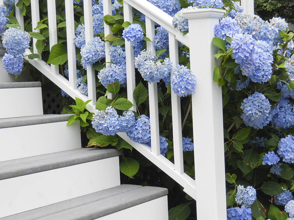 RDI Titan Pro Rail Vinyl Railing Code Documentation - U.S. LUMBER